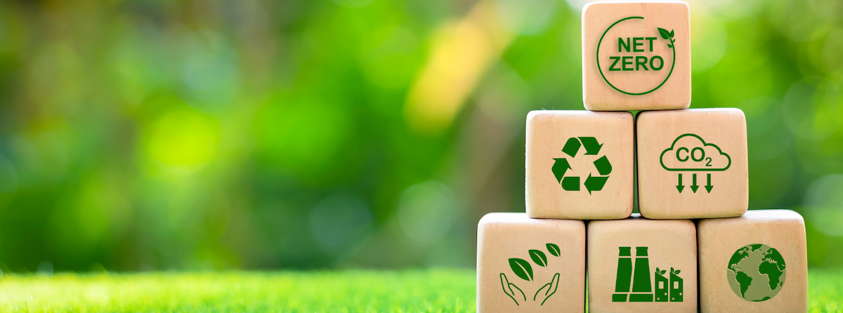 BNZ Green: Net Zero Consultancy and Net Zero Carbon Portfolio Alignment