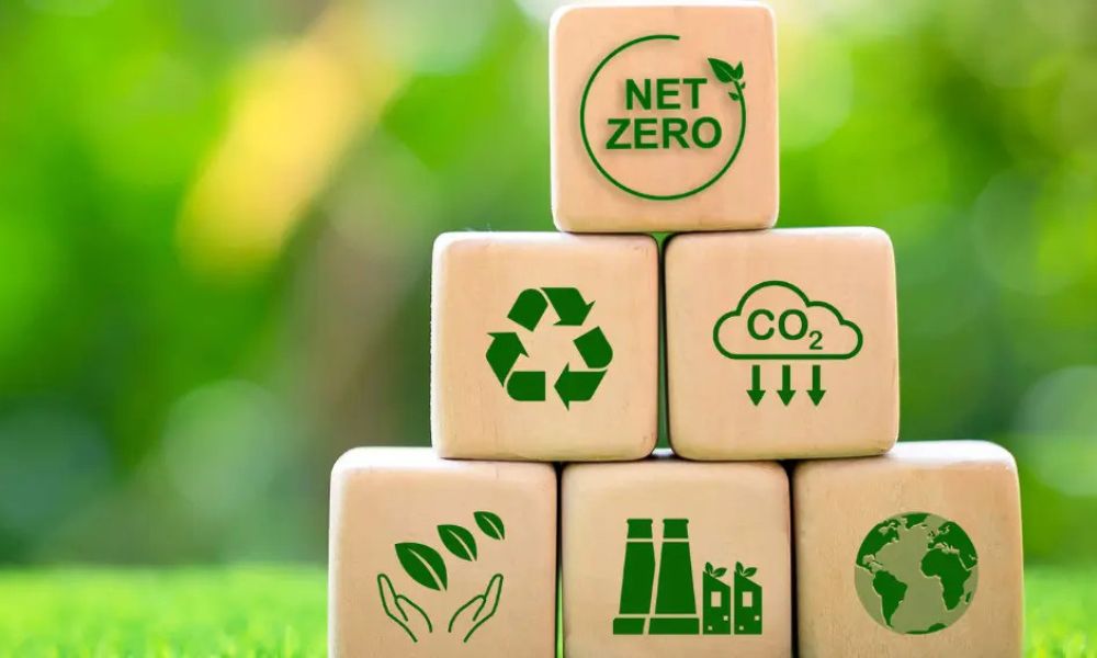 BNZ Green: Net Zero Consultancy and Net Zero Carbon Portfolio Alignment